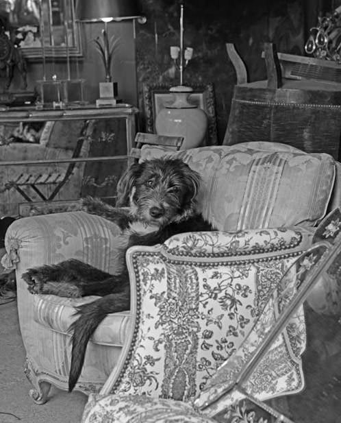 Fotografia fine art de Isabel Becker - Constance Zahn | Casa & Decor