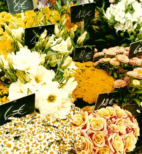 Fotografia fine art de Isabel Becker - Constance Zahn | Casa & Decor