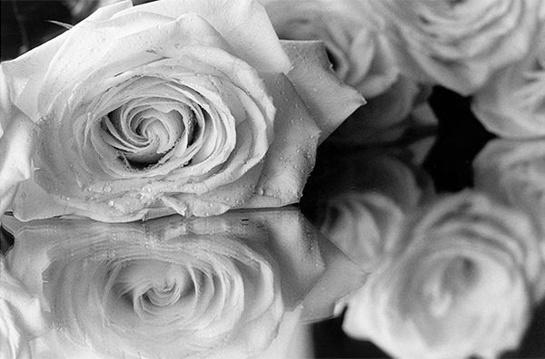 As fotos de Isabel Becker para decorar a casa