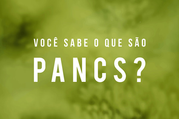 Você sabe o que é PANCS e como elas podem mudar sua alimentação ...